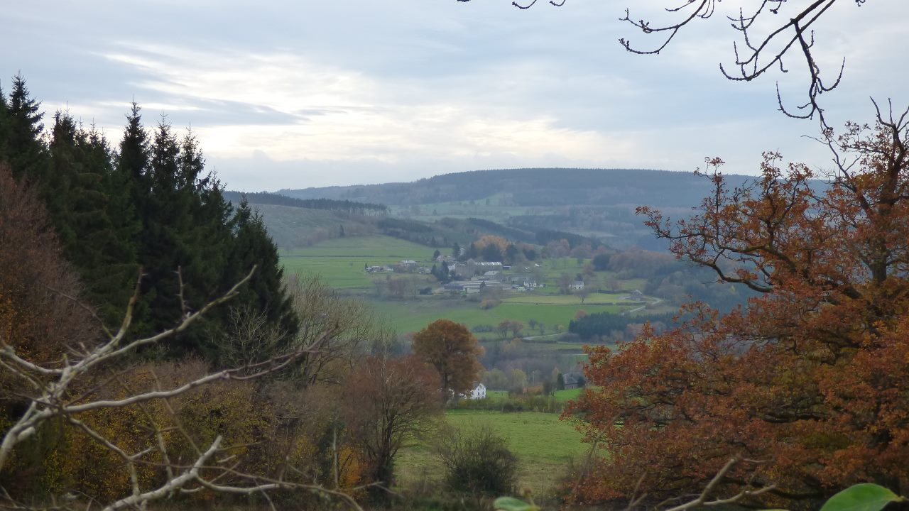 Randonnée en Haute-Ardennes / Lierneux (Belgique) • Trekking et Voyage