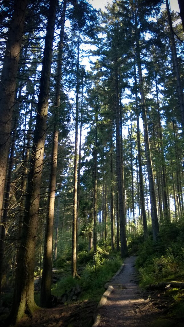 La vallée de la Hoëgne (Hautes-Fagnes, Hockai) • Trekking et Voyage