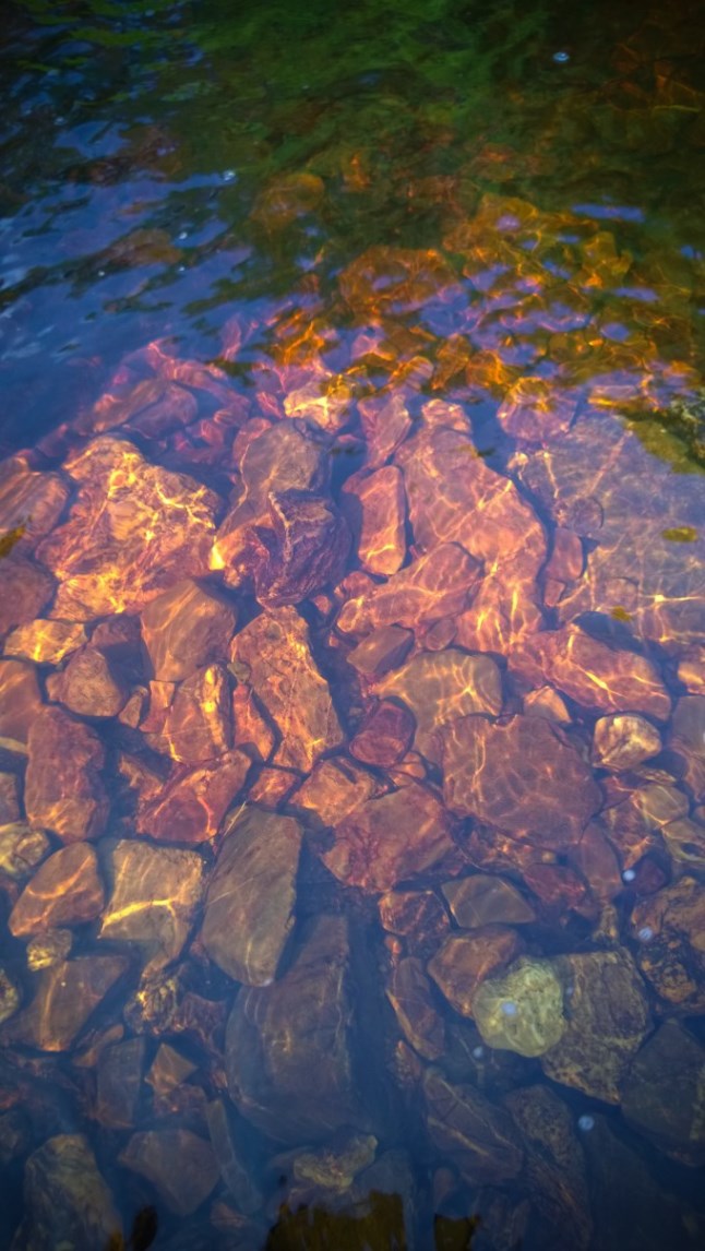 La vallée de la Hoëgne (Hautes-Fagnes, Hockai) • Trekking et Voyage