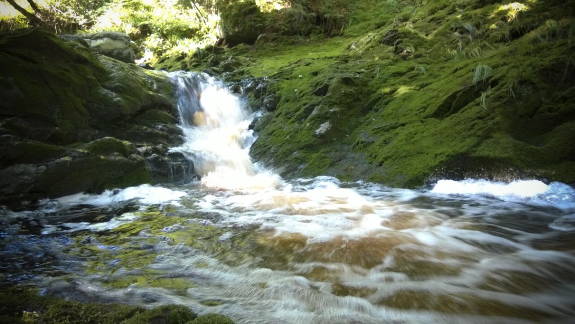 La vallée de la Hoëgne (Hautes-Fagnes, Hockai) • Trekking et Voyage