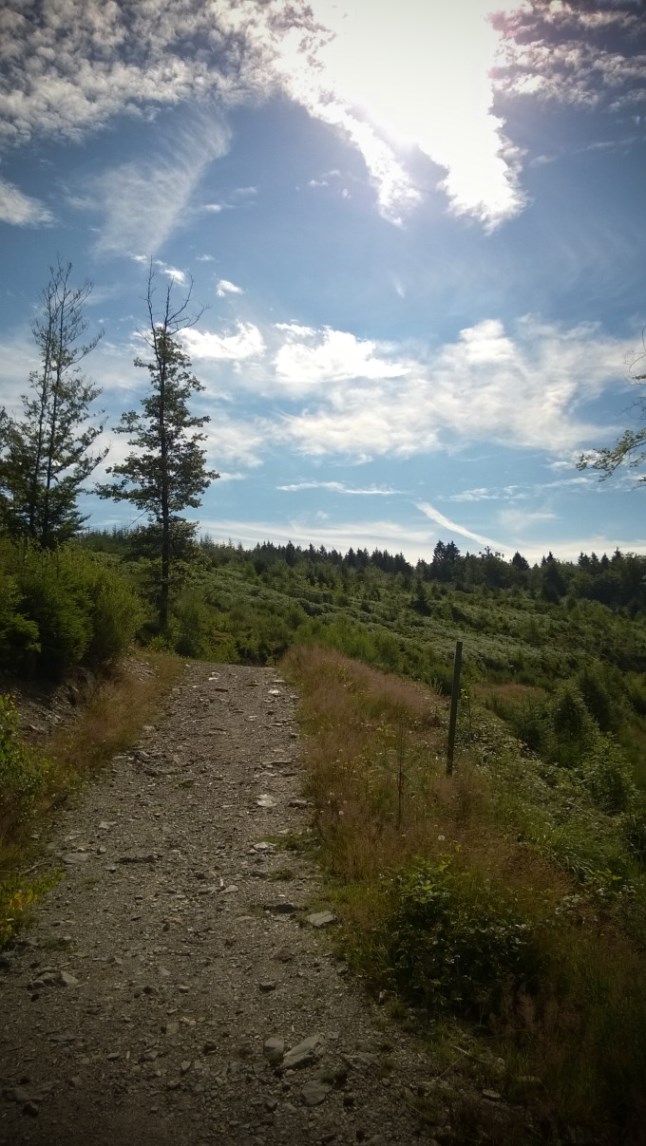 La vallée de la Hoëgne (Hautes-Fagnes, Hockai) • Trekking et Voyage