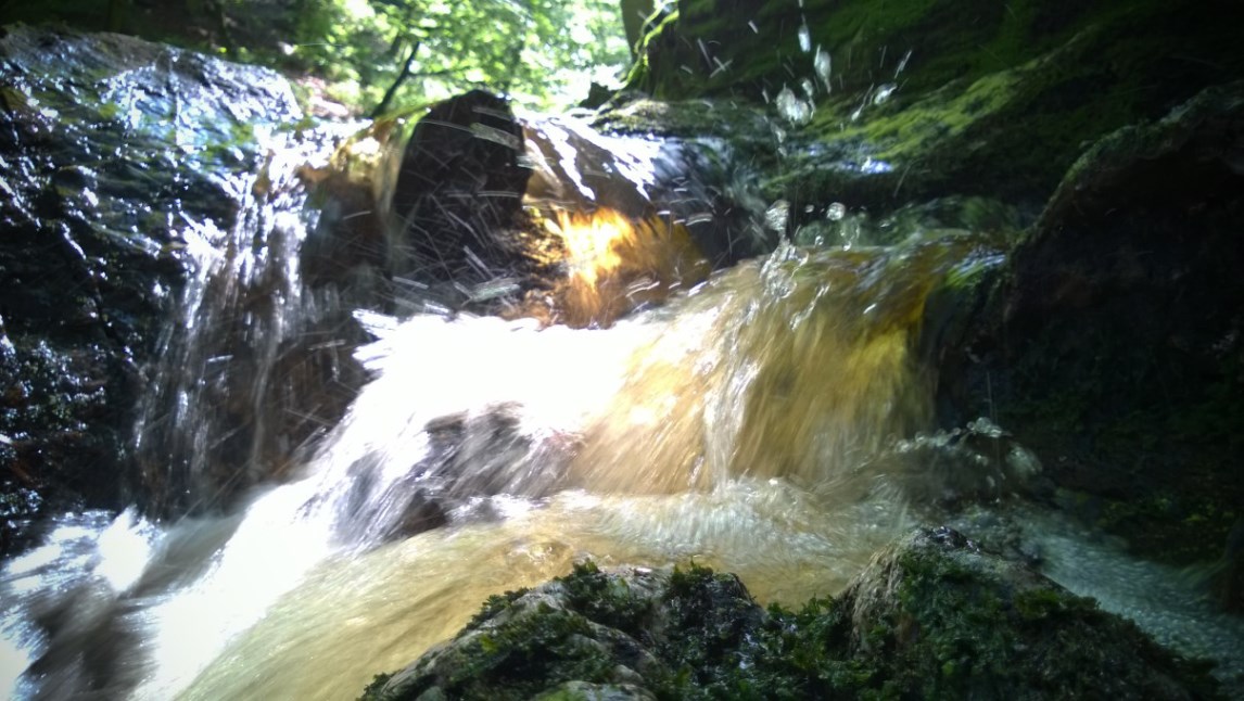 La vallée de la Hoëgne (Hautes-Fagnes, Hockai) • Trekking et Voyage