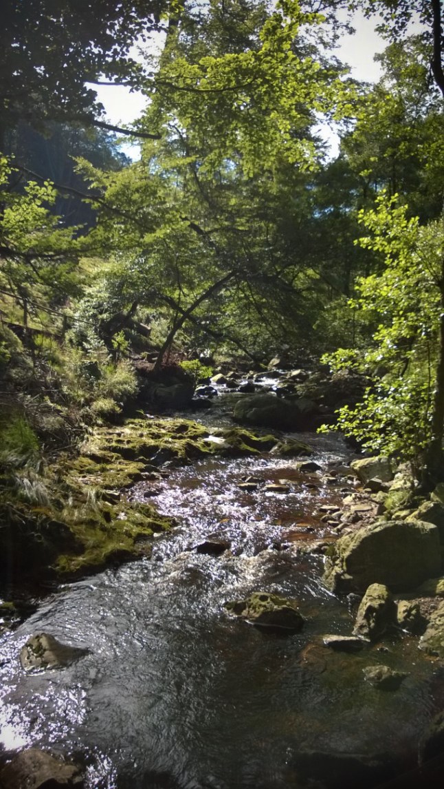 La vallée de la Hoëgne (Hautes-Fagnes, Hockai) • Trekking et Voyage
