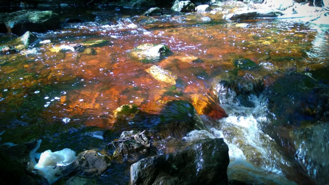 La vallée de la Hoëgne (Hautes-Fagnes, Hockai) • Trekking et Voyage