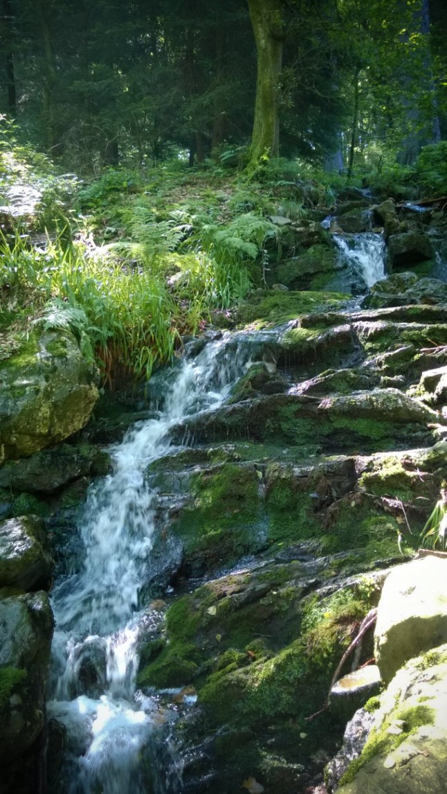 La vallée de la Hoëgne (Hautes-Fagnes, Hockai) • Trekking et Voyage