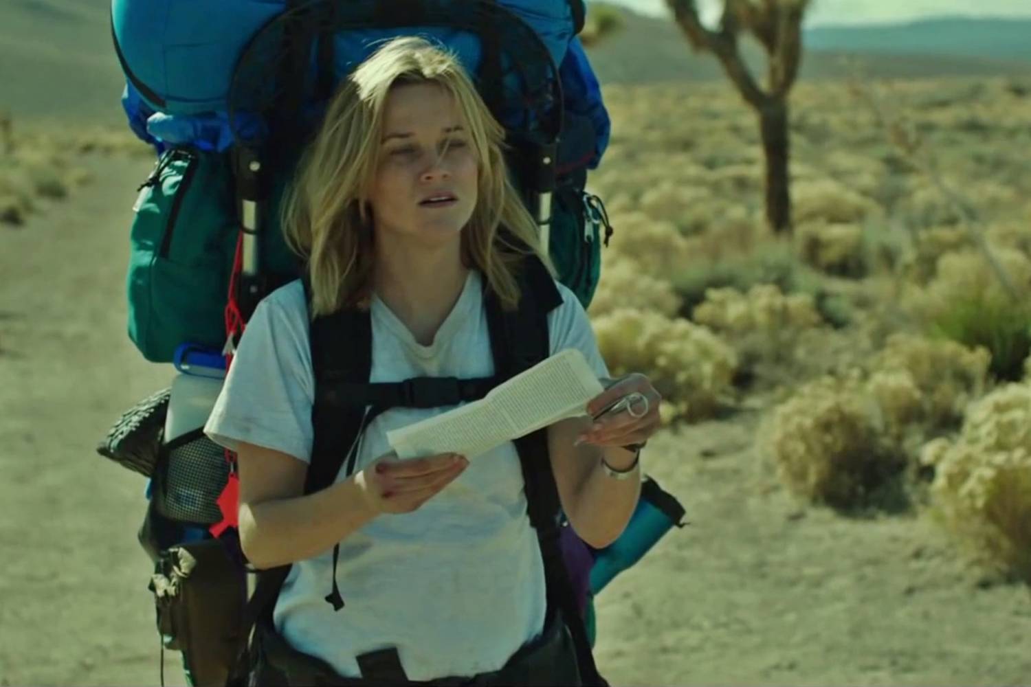 Mon avis sur le film "WILD" • Trekking et Voyage