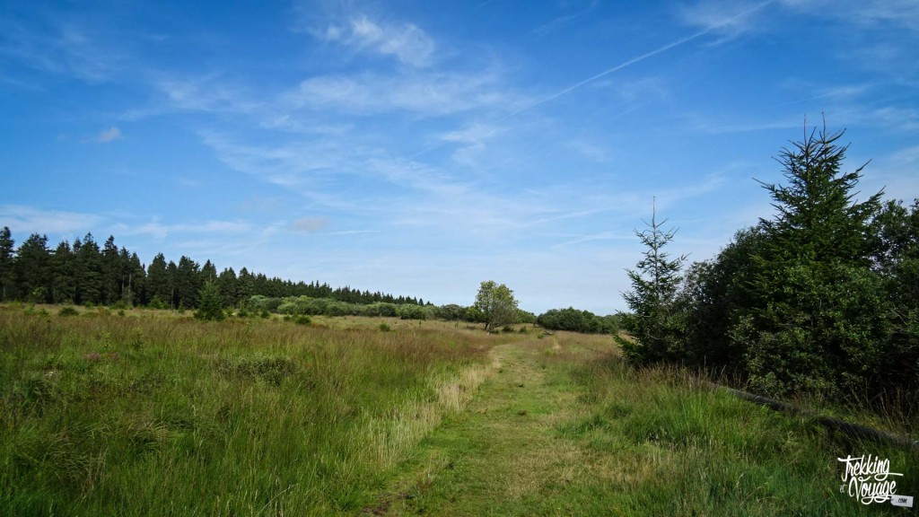 Idées de balades dans les Hautes Fagnes • Trekking et Voyage