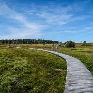 Idées de balades dans les Hautes Fagnes • Trekking et Voyage