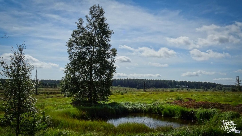 Idées de balades dans les Hautes Fagnes • Trekking et Voyage