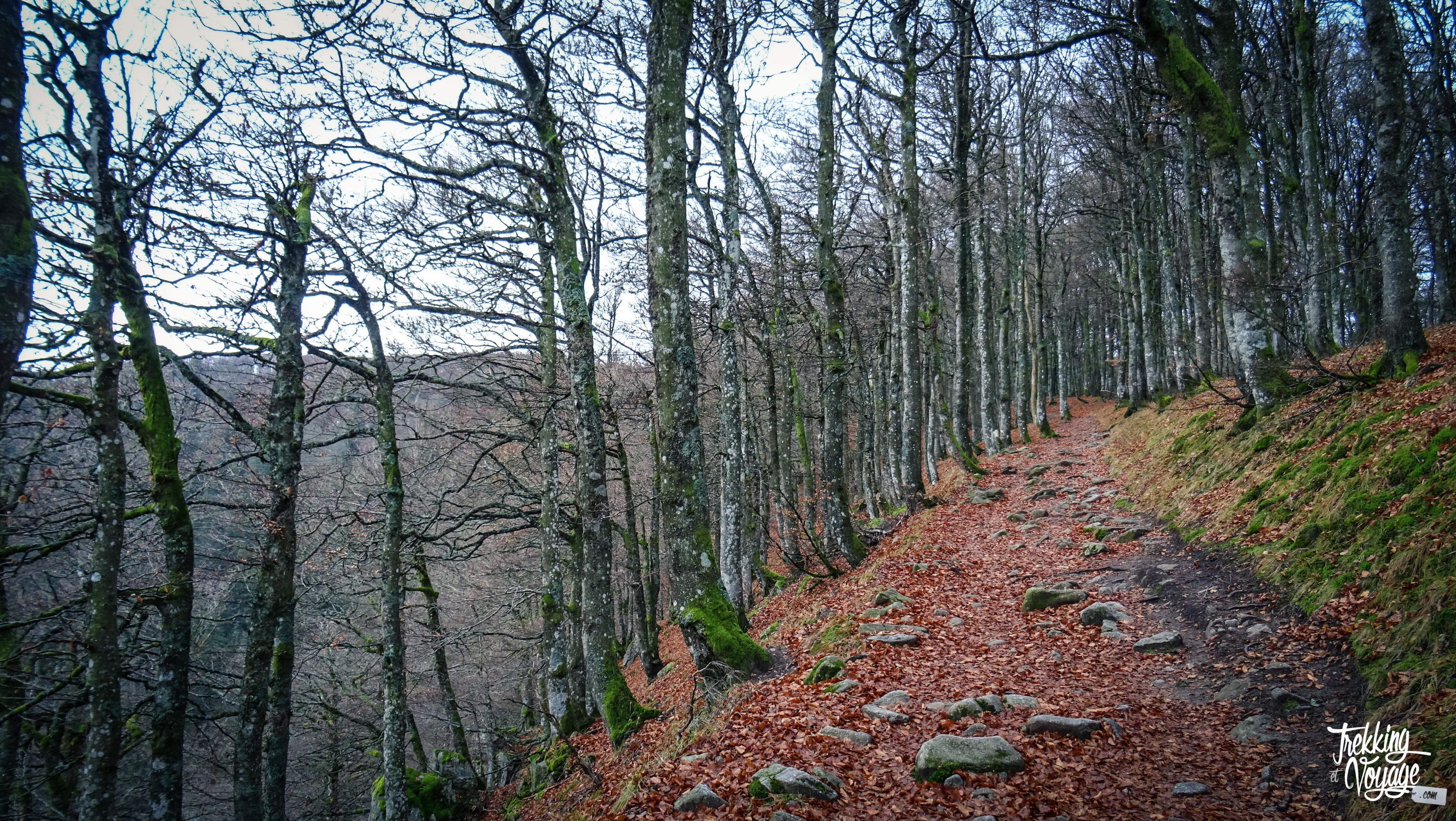 Bol d'air sur le Hohneck et ses alentours (Hautes-Vosges) • Trekking et ...