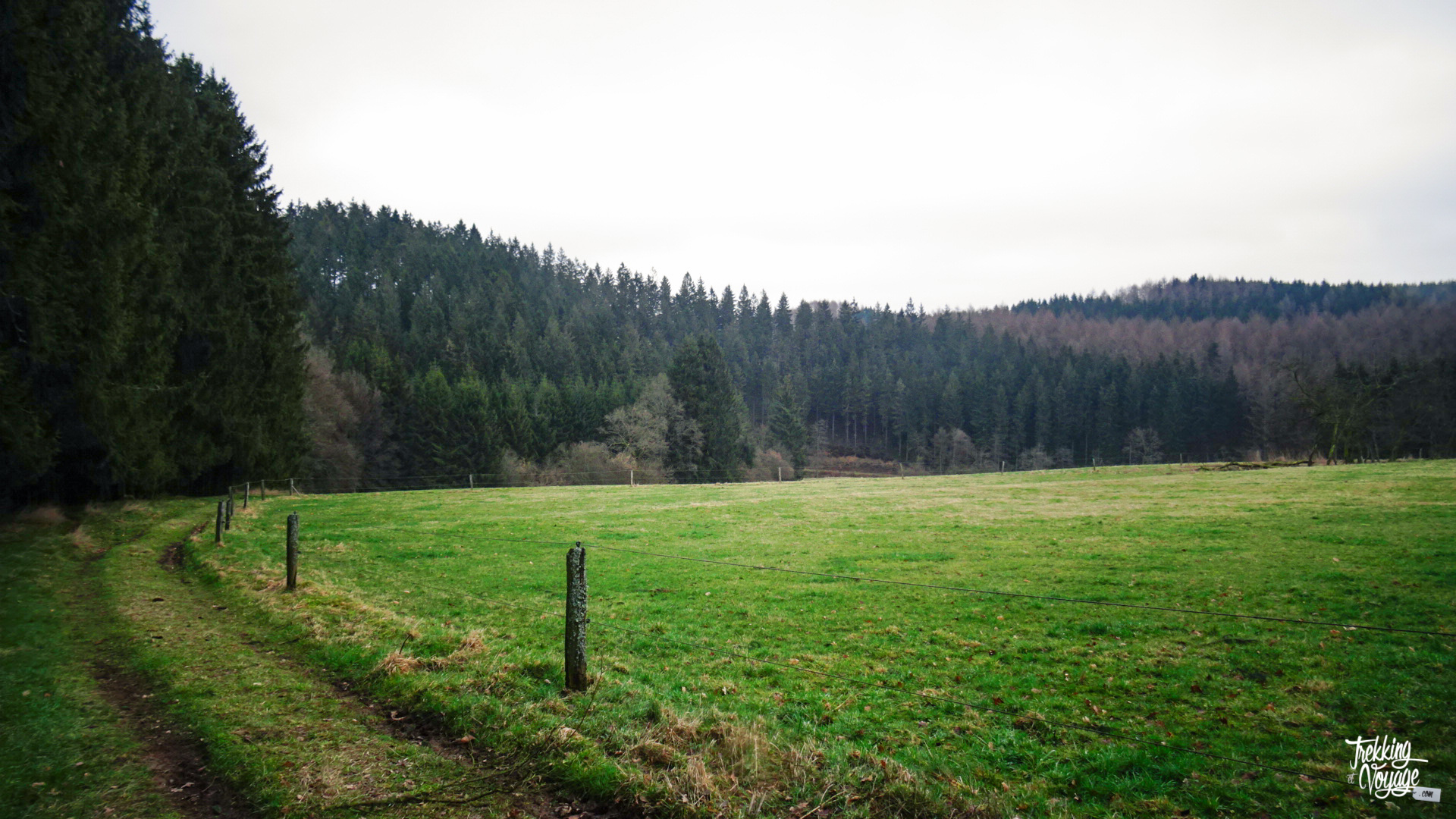 Cascades et canyons aux pieds des Hautes Fagnes • Trekking et Voyage
