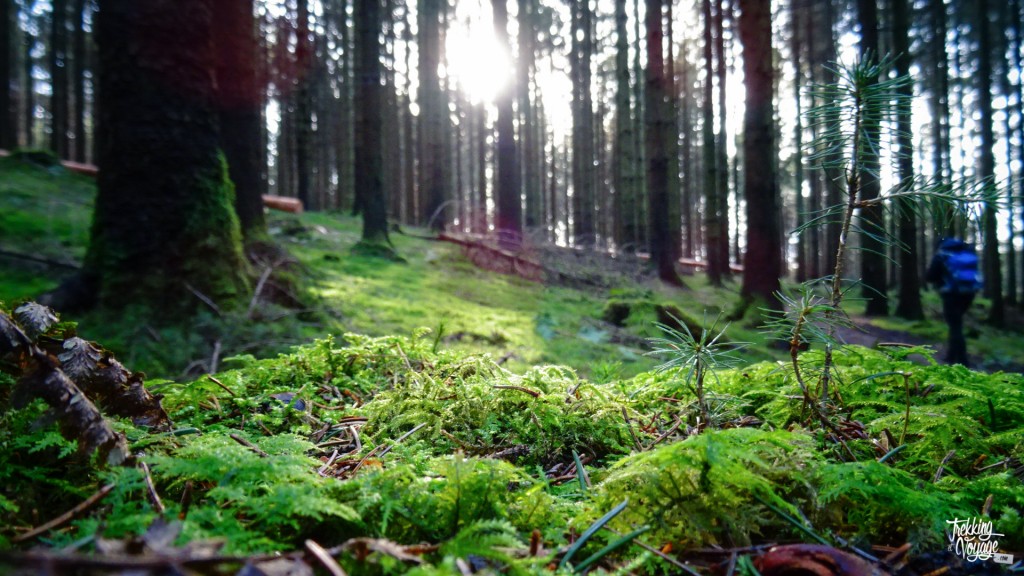 Cascades et canyons aux pieds des Hautes Fagnes • Trekking et Voyage