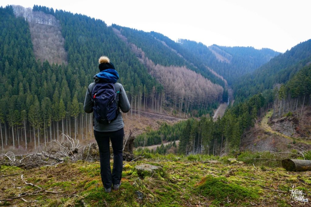 Découverte de la Vallée de la Warche • Trekking et Voyage
