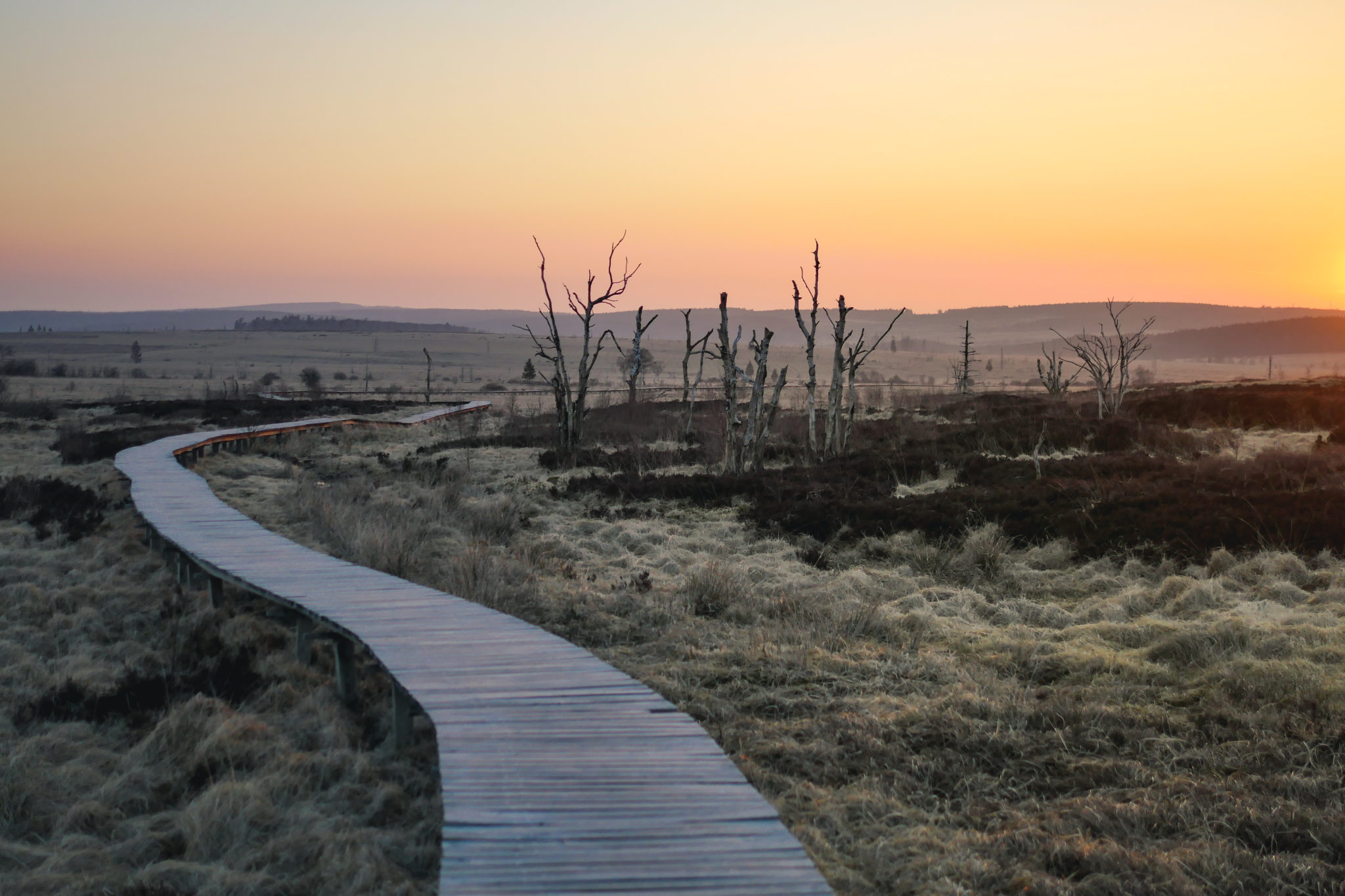 Découvertes et microaventure dans les Hautes Fagnes • Trekking et Voyage