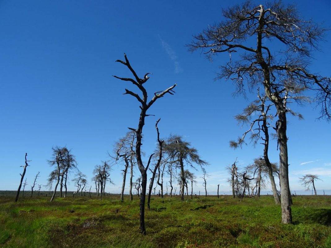 10 balades "coup de cœur" en Belgique • Trekking et Voyage