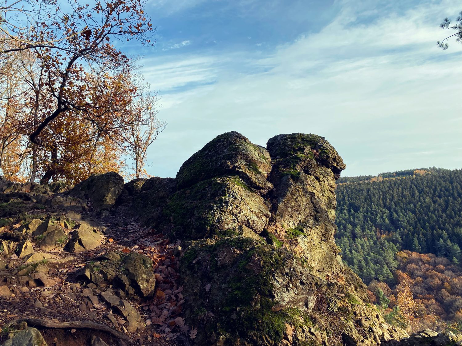 5 balades à faire en automne en Belgique • Trekking et Voyage